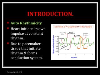 CONDUCTION SYSTEM OF HEART | PPT