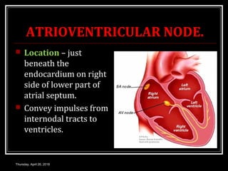 CONDUCTION SYSTEM OF HEART | PPT