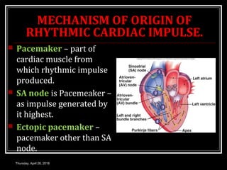 CONDUCTION SYSTEM OF HEART | PPT