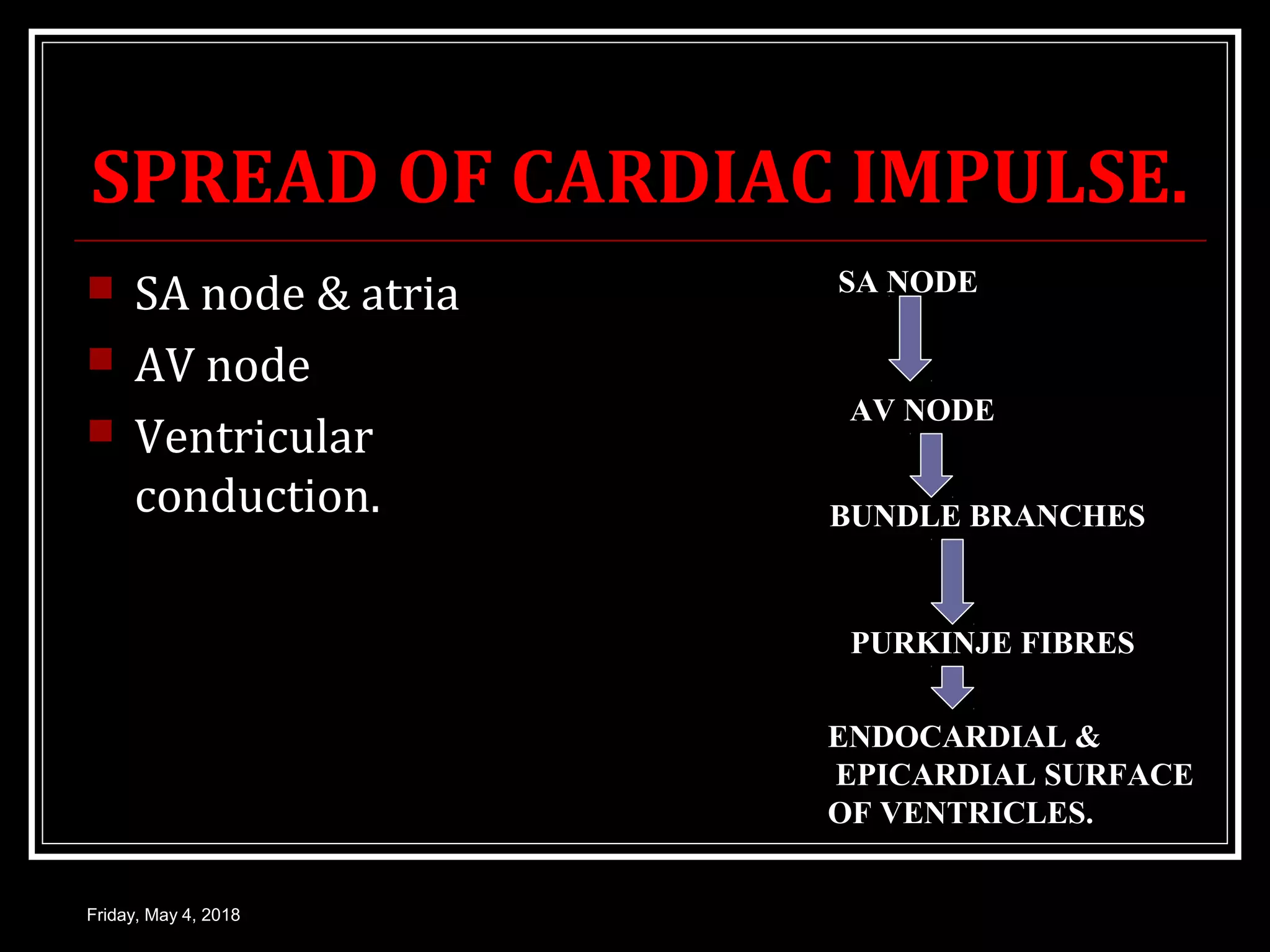 Conduction system of heart | PPT