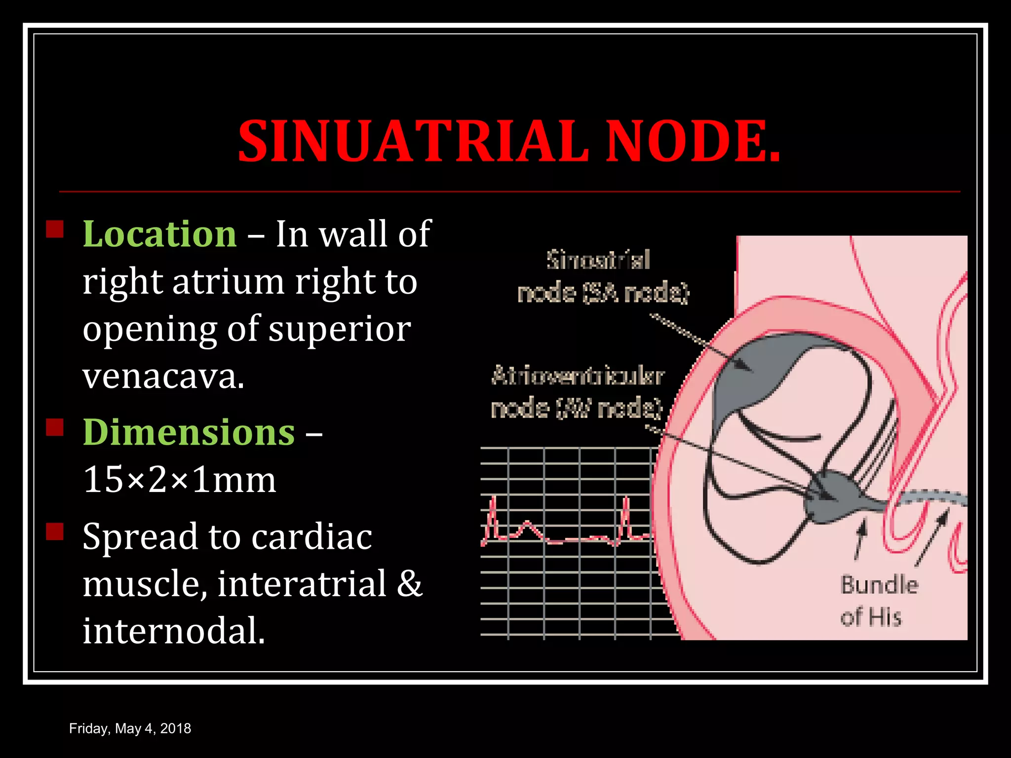 Conduction system of heart | PPT