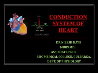 Conduction system of heart | PPT