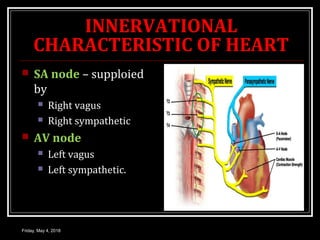 Conduction system of heart | PPT