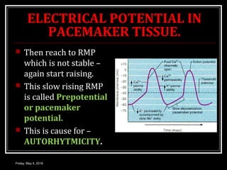 Conduction system of heart | PPT