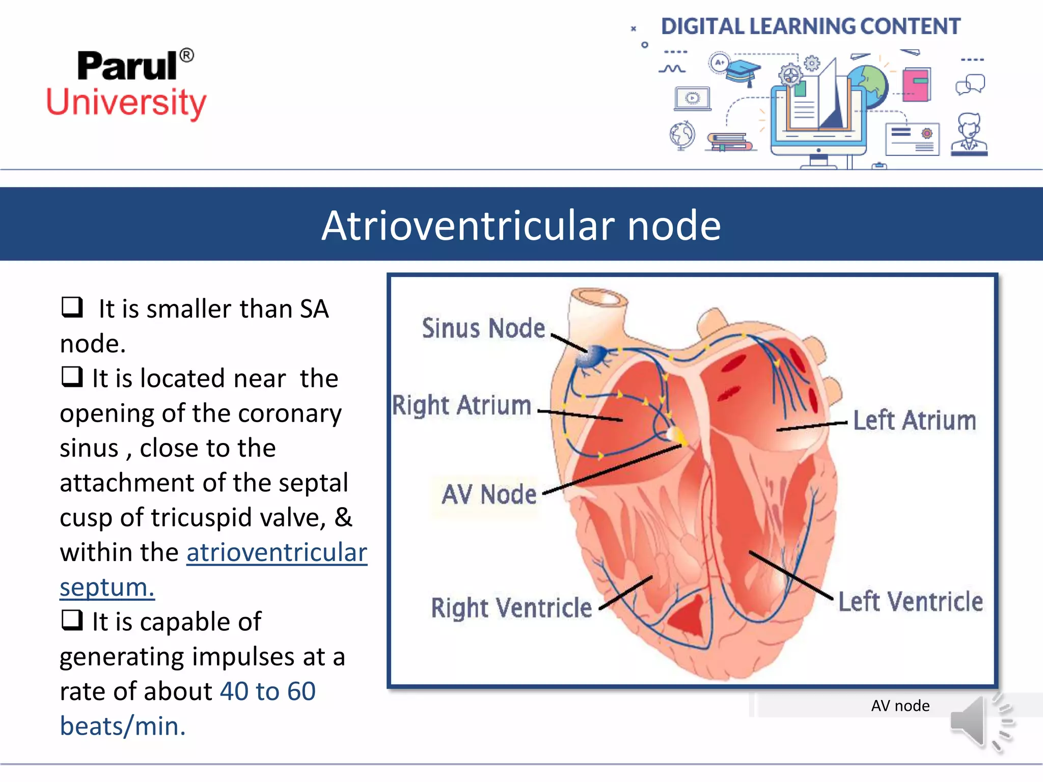 Conduction system of heart | PDF