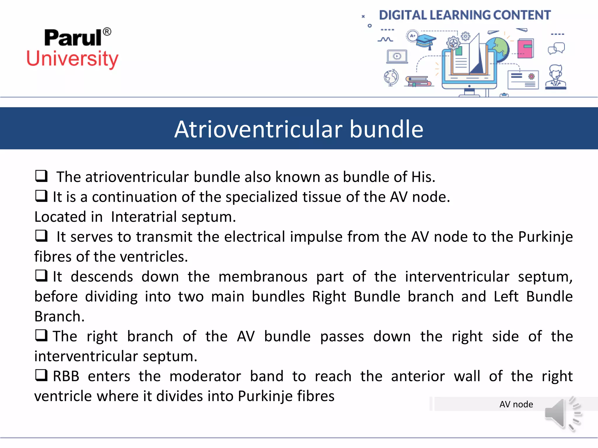 Conduction system of heart | PDF