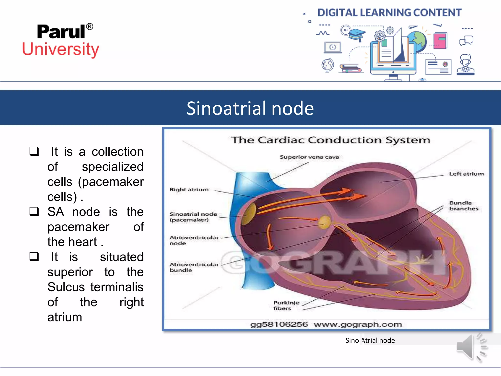 Conduction system of heart | PDF