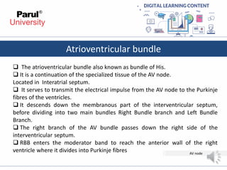 Conduction system of heart | PDF