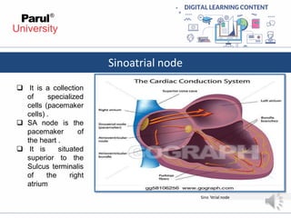Conduction system of heart | PDF