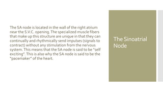 Conduction system of heart | PPTX
