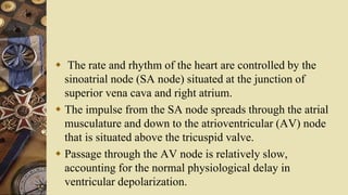Conduction system of the heart | PPTX