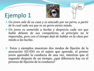 Modelo Conductista Ejemplos