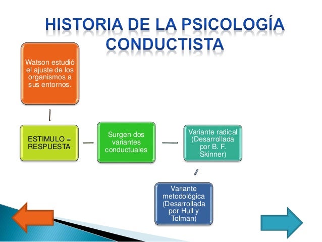 Conductismo, Historia, Principales Autores, Pirámide del conductismo
