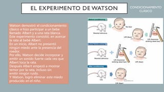 El conductismo y sus experimentos | PDF