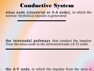 Conductive system of heart | PPT