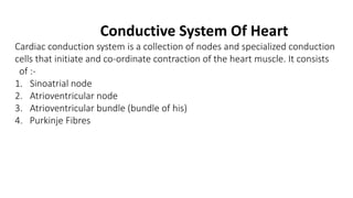 Conductive system of heart | PPT