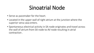 Conductive system of heart | PPTX