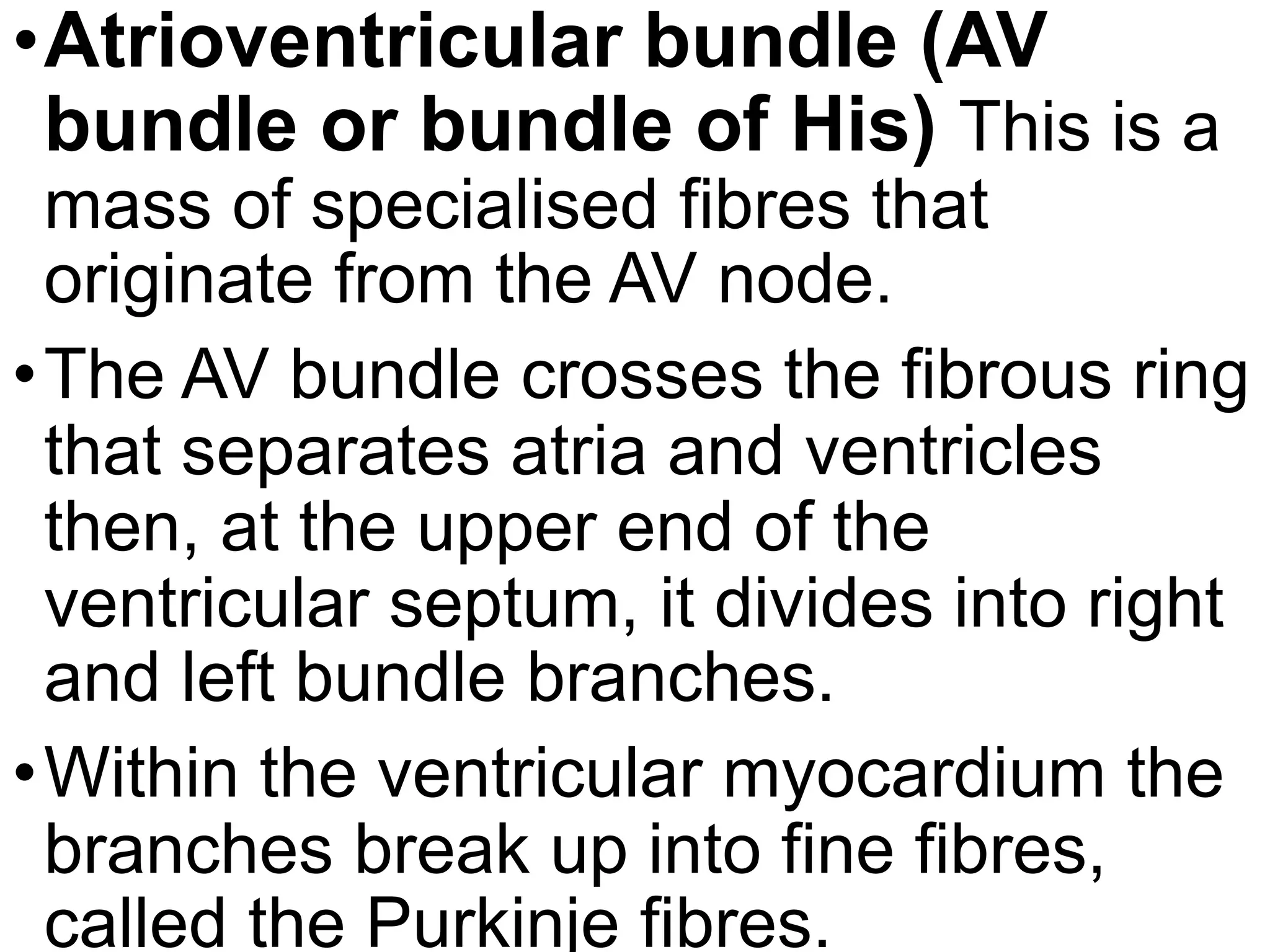 conductive system of heart.pptx
