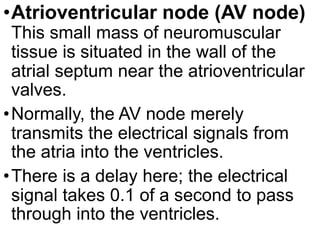 conductive system of heart.pptx