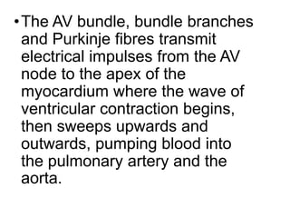 conductive system of heart.pptx