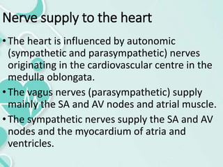 conductive system of heart.pptx