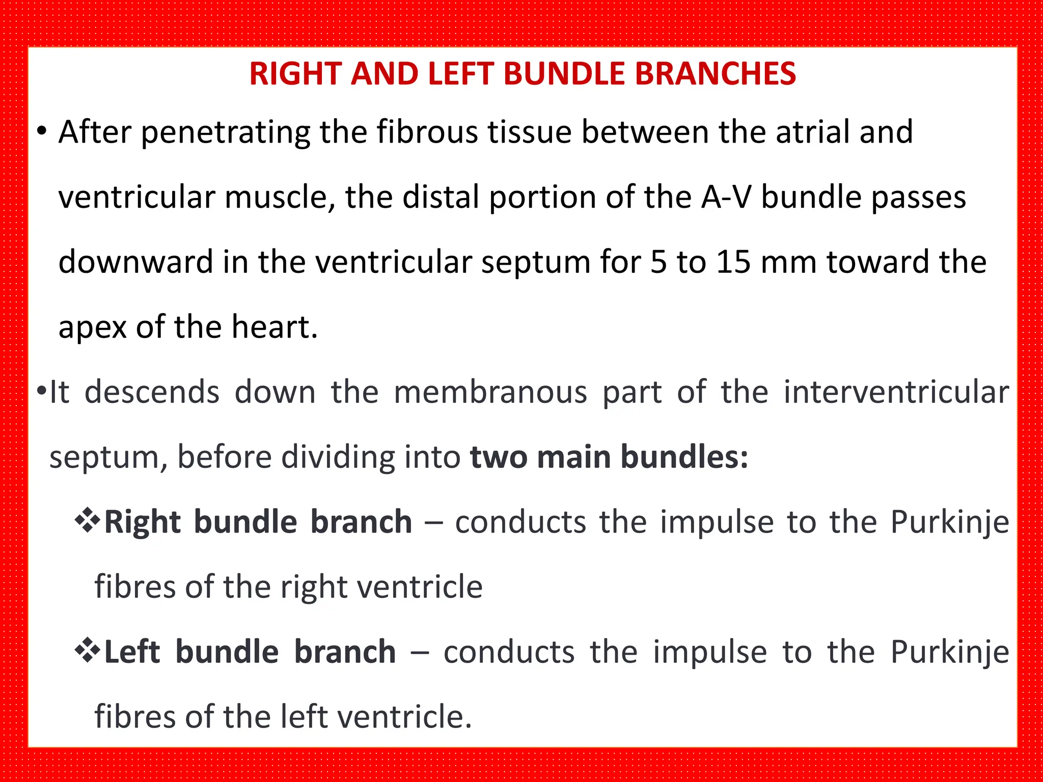 CONDUCTIVE SYSTEM OF HEART .pptx BY MRS. WINCY THIRUMURUGAN .PROFESSOR ...
