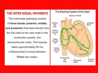 CONDUCTIVE SYSTEM OF HEART .pptx BY MRS. WINCY THIRUMURUGAN .PROFESSOR ...