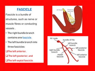 CONDUCTIVE SYSTEM OF HEART .pptx BY MRS. WINCY THIRUMURUGAN .PROFESSOR ...