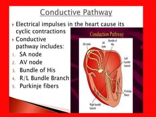 CONDUCTIVE SYSTEM OF HEART .pptx BY MRS. WINCY THIRUMURUGAN .PROFESSOR ...