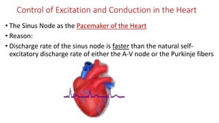 Conductive system of the heart rmc 2 | PPTX