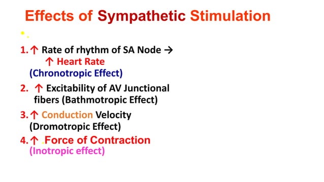 Conductive system of the heart rmc 2 | PPT