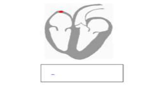 Conductive system of the heart rmc 2 | PPTX