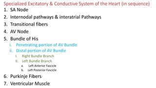 Conductive system of the heart rmc 2 | PPTX