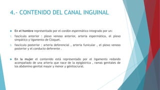 Anatomía Quirúrgica de la región inguinal. | PPTX