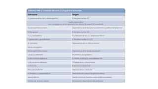 Conducto inguinal | PDF