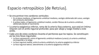 Conducto inguinal | PDF