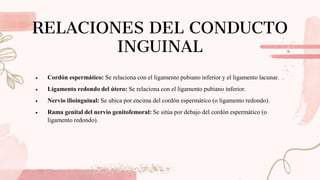 presentacion del conducto inguinal medicina | PPTX