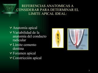 Conductometria | PPT