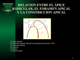 Conductometria | PPT