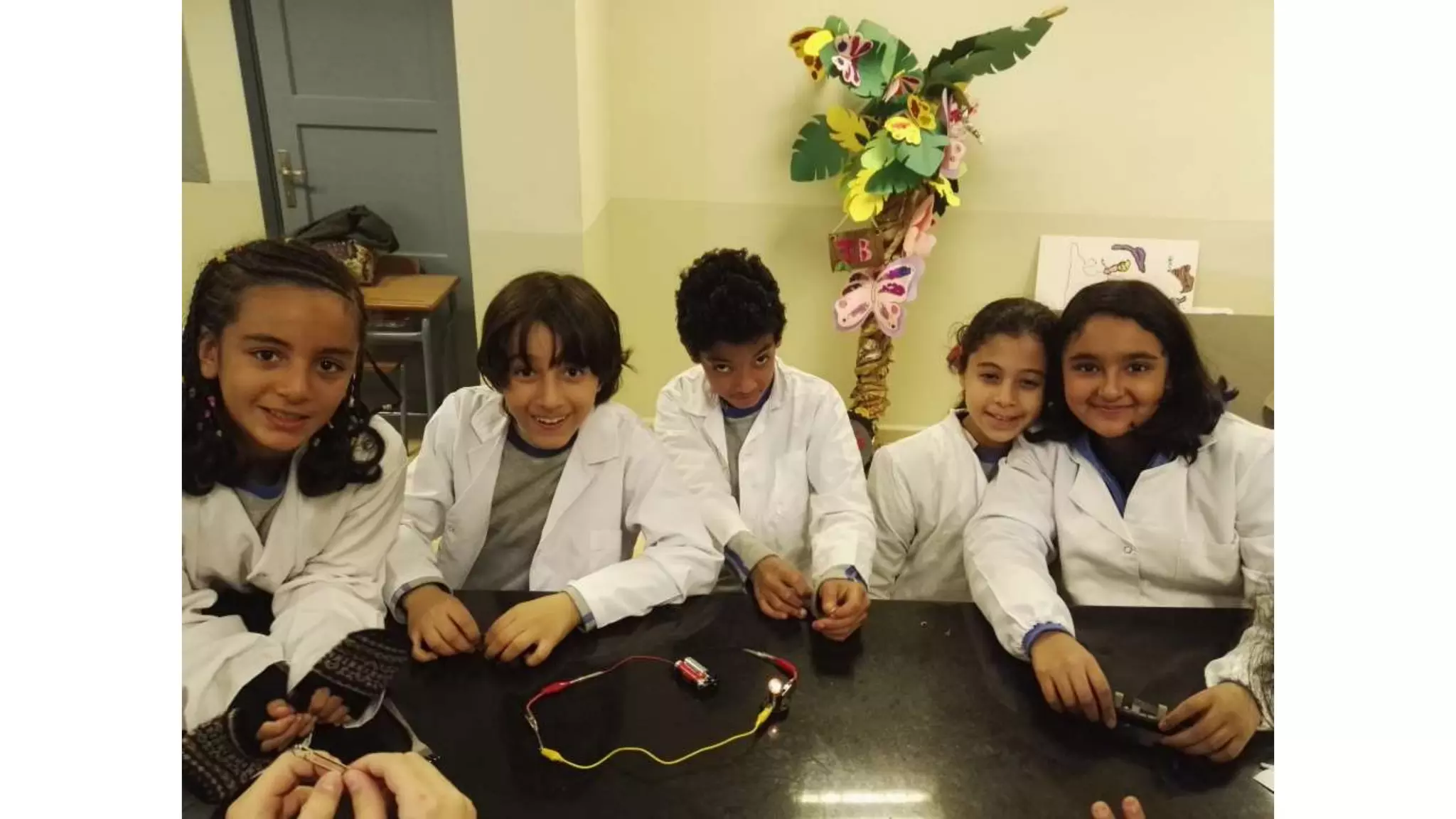 Conductors and insulators lab activity | PPTX | Physics | Science