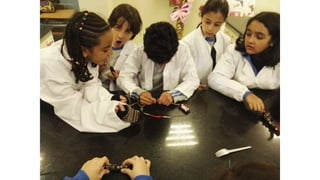 Conductors and insulators lab activity | PPTX | Physics | Science