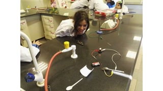 Conductors and insulators lab activity | PPTX