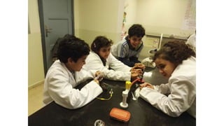 Conductors and insulators lab activity | PPTX