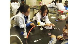 Conductors and insulators lab activity | PPTX | Physics | Science