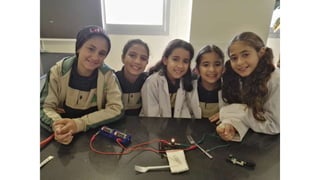 Conductors and insulators lab activity | PPTX | Physics | Science