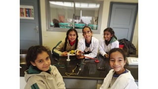 Conductors and insulators lab activity | PPTX | Physics | Science