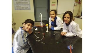Conductors and insulators lab activity | PPTX | Physics | Science