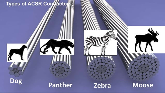 Conductors used in transmission line | PPTX | Science