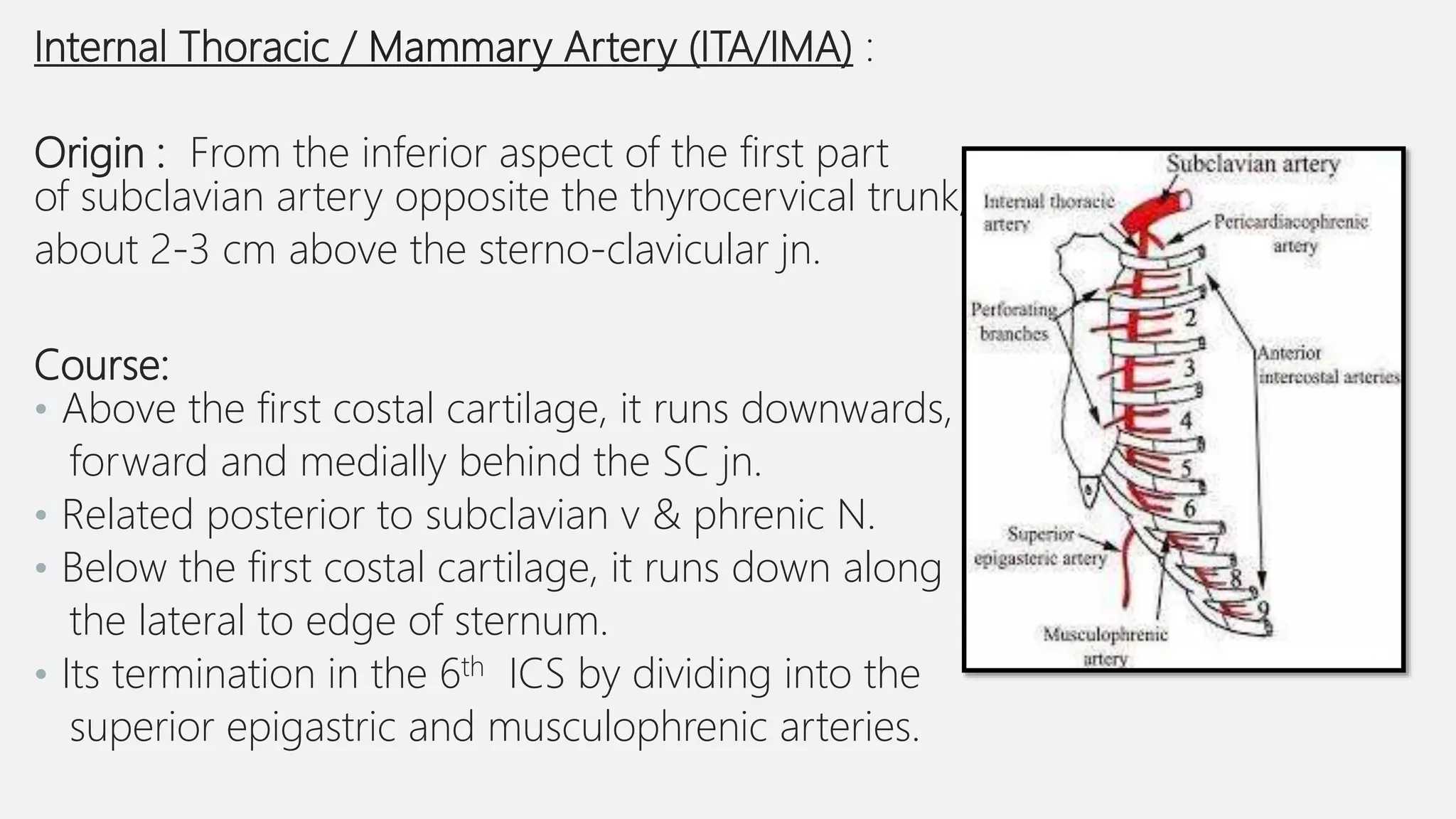 Conduits used in CABG. | PPTX