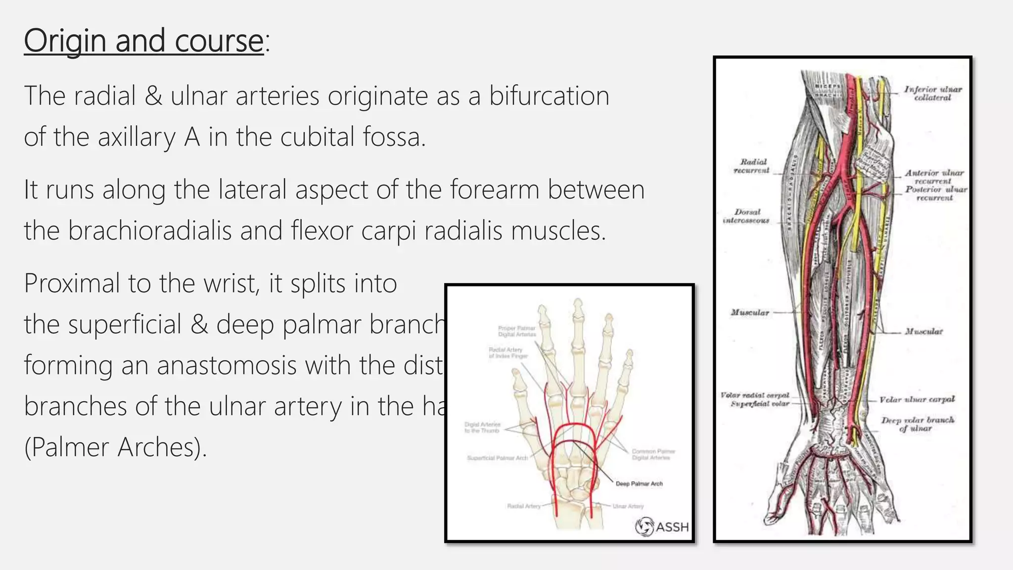 Conduits used in CABG. | PPTX